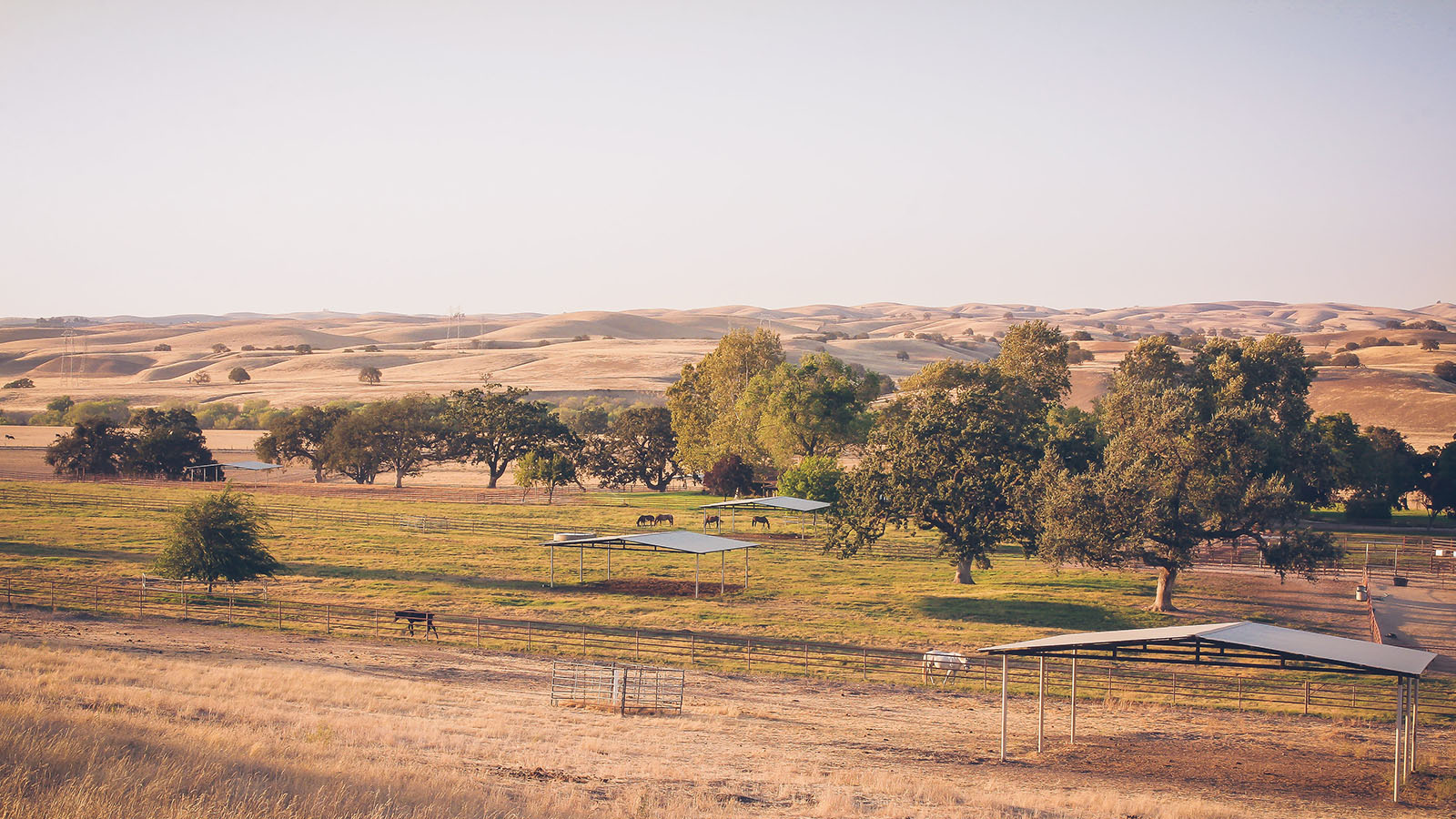 Clark Company | Estrella Ranch