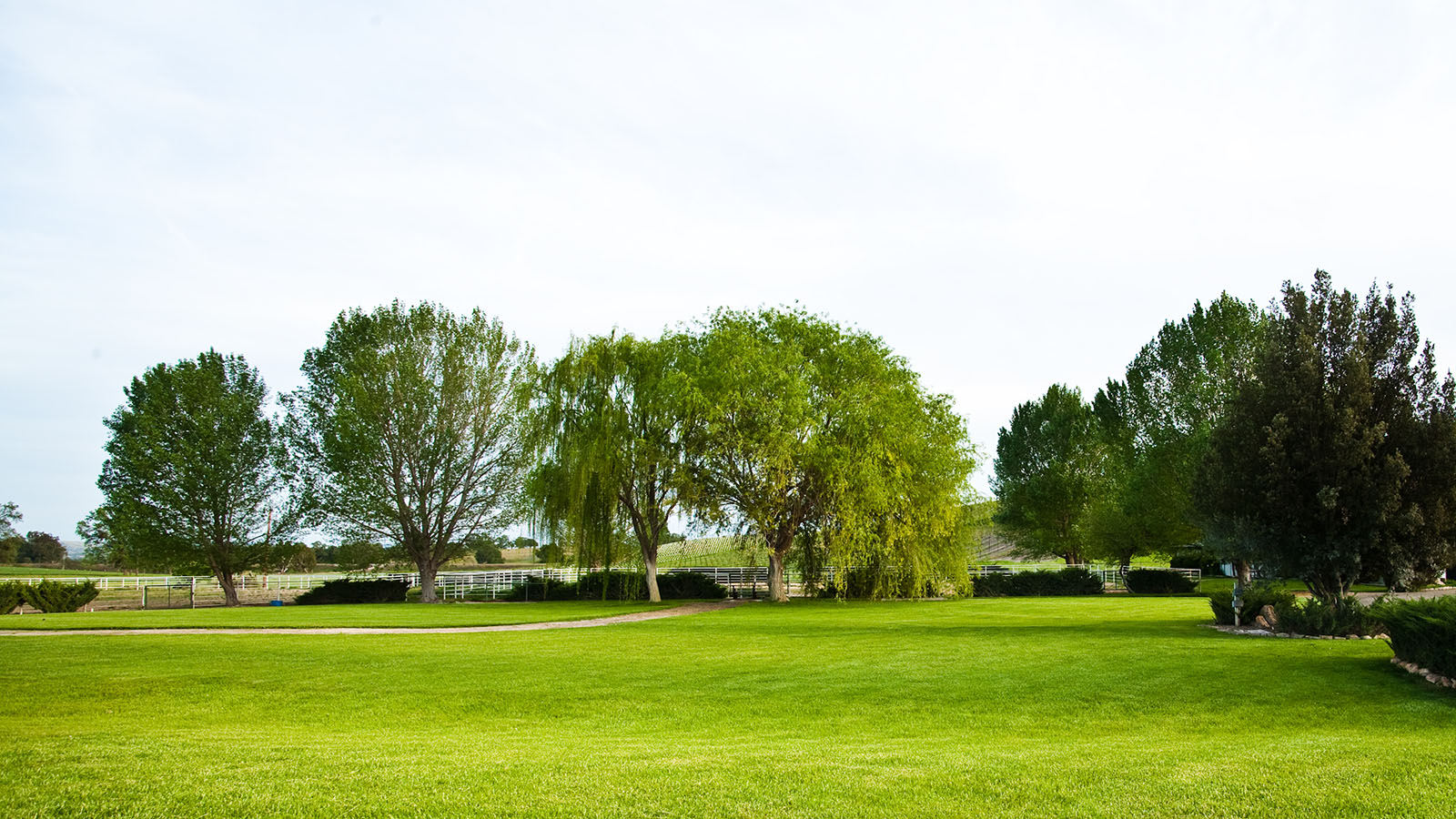 Latchford Ranch & Vineyard – Paso Robles, California | Clark Company ...