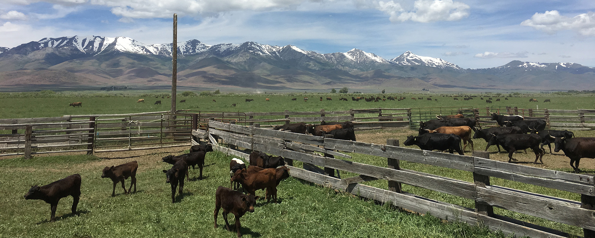 Clark Company | California & Nevada Ranch Sales