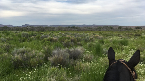 California and Nevada Ranch Properties | Clark Company Ranch Real Estate